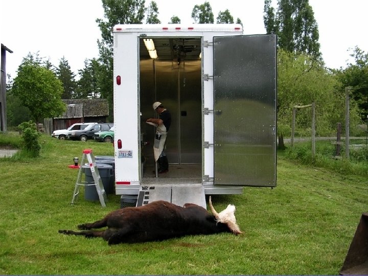 USDA INSPECTED MOBILE LIVESTOCK PROCESSING Production of Finished