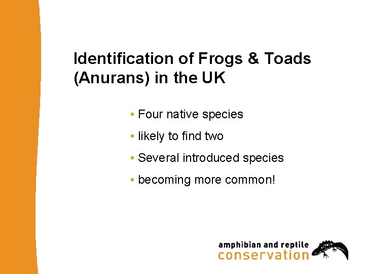 Identification of Frogs Toads Anurans in the UK