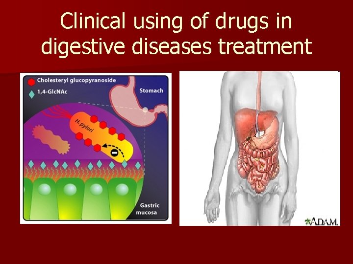 Clinical using of drugs in digestive diseases treatment
