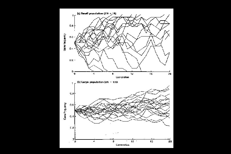 What is Population Genetics About microevolution evolution within
