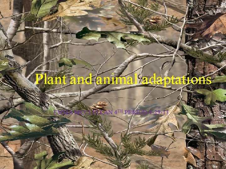 Plant and animal adaptations EMMA MCCLELLAN 4 TH