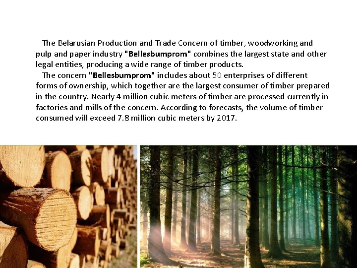 Belarusian Production and Trade Concern of timber woodworking