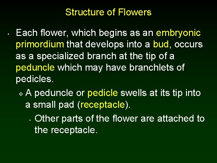 Flowers Fruits and Seeds Outline Dicots versus Monocots