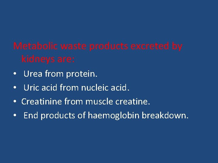 Renal system Dr Zainab H H Dept of