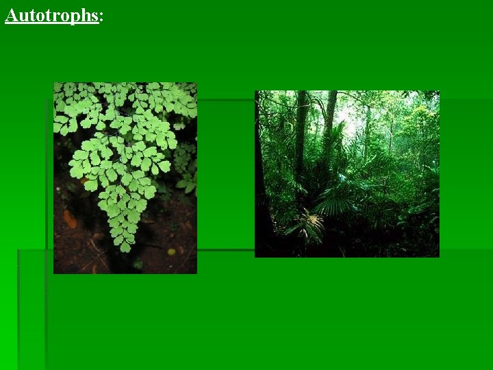 Aim How can we describe the types of