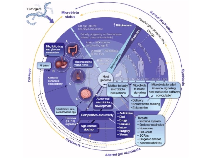 ISAPP 2014 Annual Meeting Indigenous microbiota The technologies