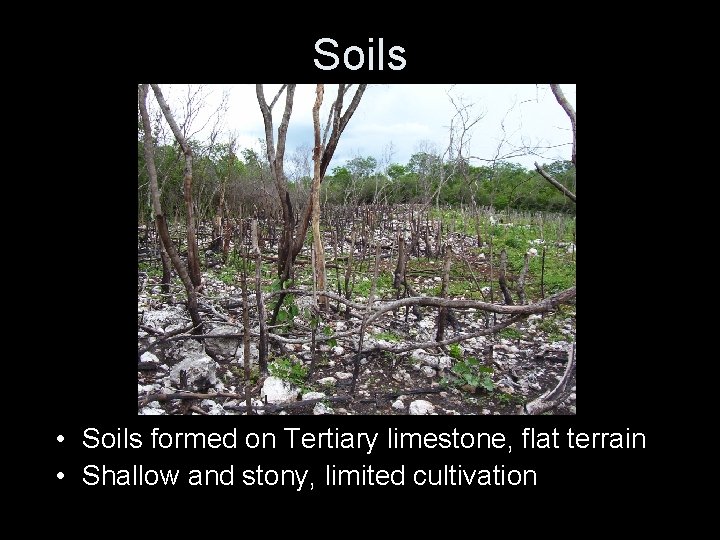 Modeling smallholder croplivestock systems in the Yucatan Peninsula