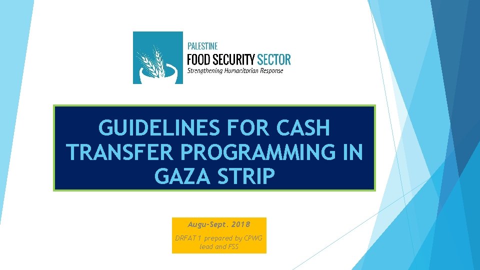 GUIDELINES FOR CASH TRANSFER PROGRAMMING IN GAZA STRIP