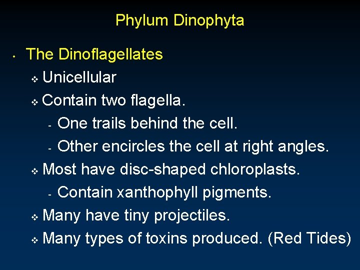 Features of Kingdom Protista All members have eukaryotic