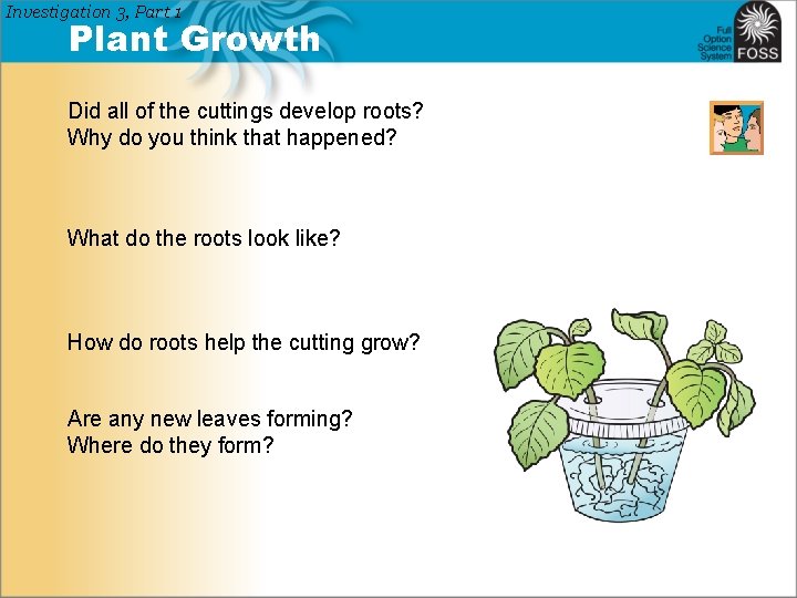 NEW PLANTS Investigation 2 Stems Part 1 Rooting