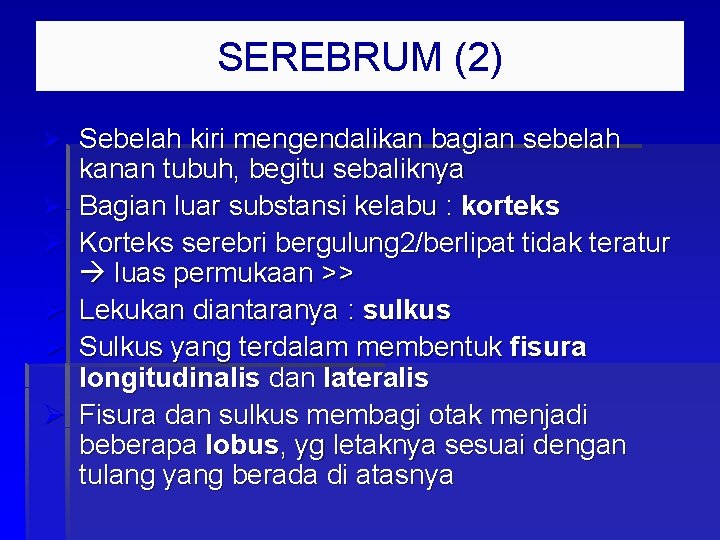 ANATOMI DAN FISIOLOGI SISTEM SARAF PUSAT R Bayu