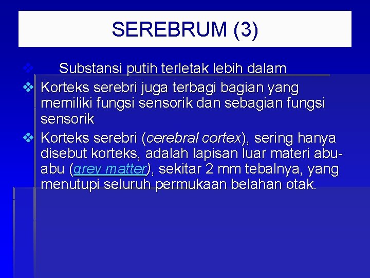 ANATOMI DAN FISIOLOGI SISTEM SARAF PUSAT R Bayu