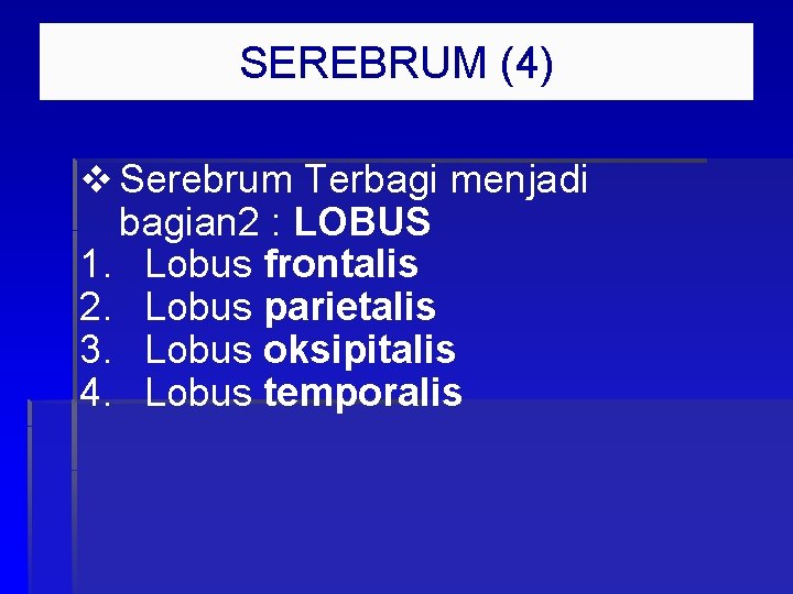 ANATOMI DAN FISIOLOGI SISTEM SARAF PUSAT R Bayu
