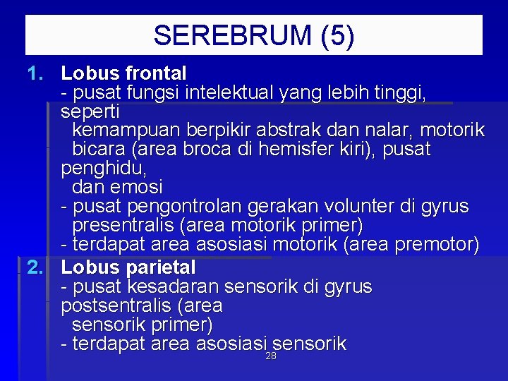 ANATOMI DAN FISIOLOGI SISTEM SARAF PUSAT R Bayu
