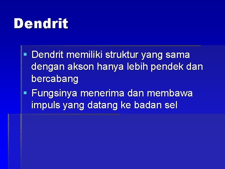 ANATOMI DAN FISIOLOGI SISTEM SARAF PUSAT R Bayu