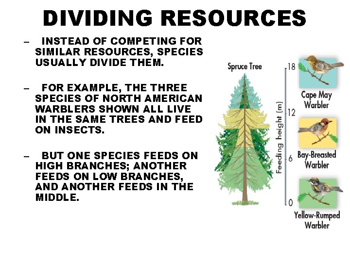 DIVIDING RESOURCES INSTEAD OF COMPETING FOR SIMILAR RESOURCES