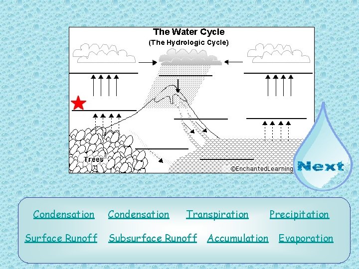 Directions Look at the water cycle picture Match