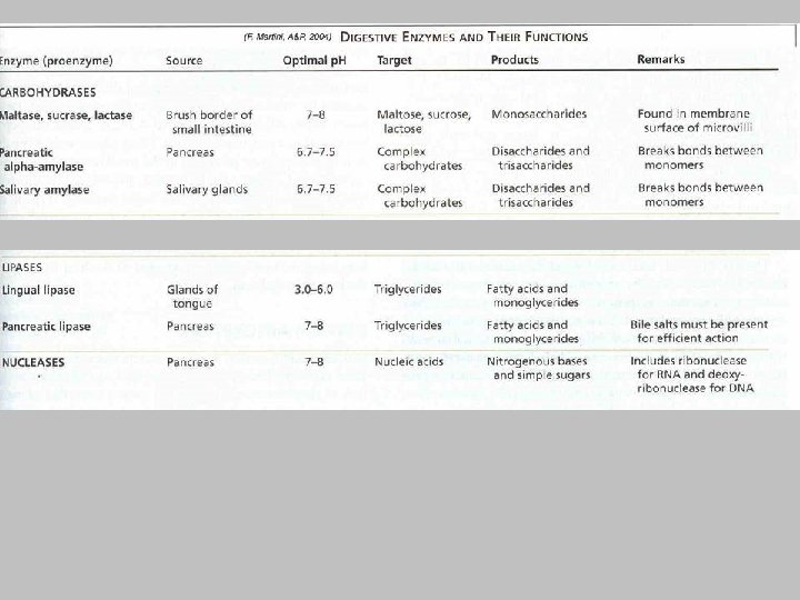 Gastrointestinal tract activities GI tract activities include ingestion