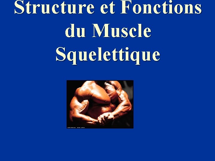 Structure et Fonctions du Muscle Squelettique I Caractristiques