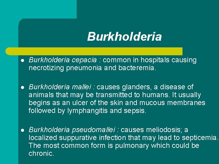 Pseudomonas and Related Nonfermenters Introduction l Obligate aerobic
