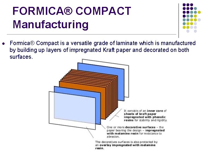 THE RAYMOND KNAIDER FNBL THE RAYMOND KNAIDER l