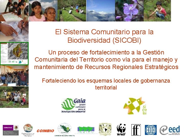 El Sistema Comunitario para la Biodiversidad SICOBI Un