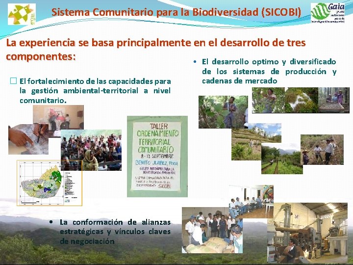 El Sistema Comunitario para la Biodiversidad SICOBI Un