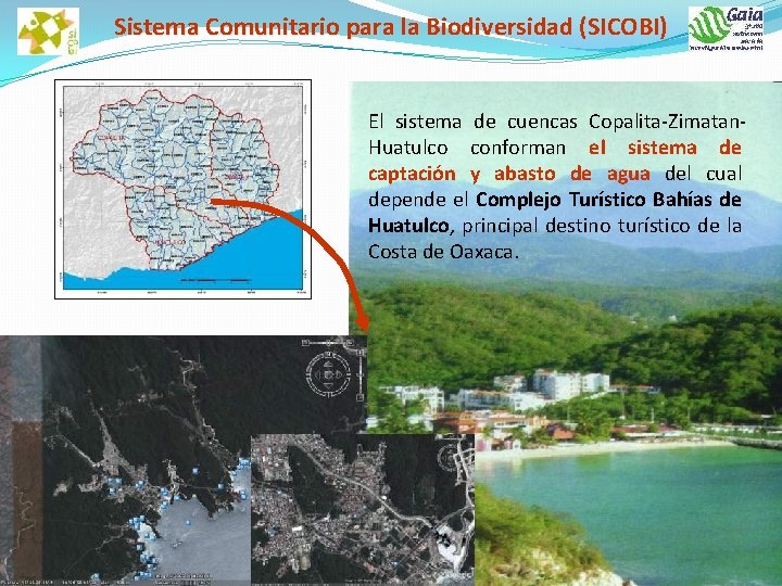 El Sistema Comunitario para la Biodiversidad SICOBI Un