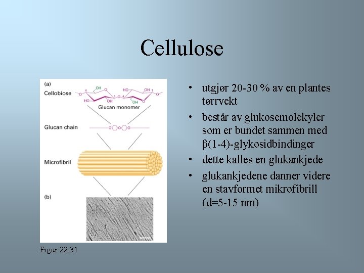 Kapittel 22 Integrering av celler i vev Oversikt