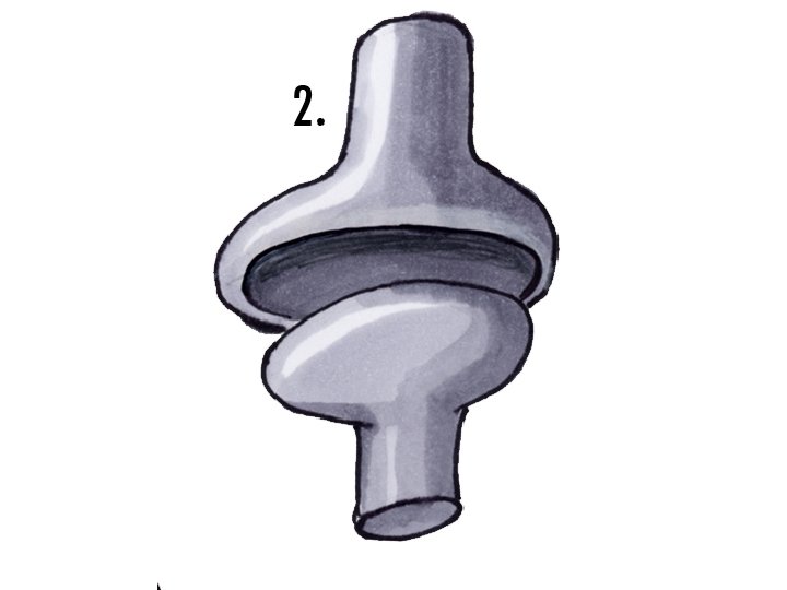 The 5 Types of Joints A Meeting Place