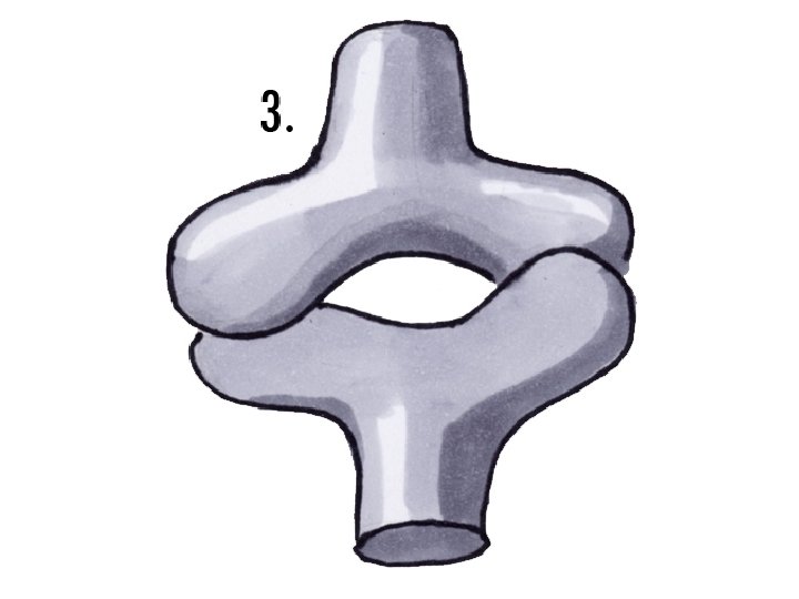 The 5 Types of Joints A Meeting Place