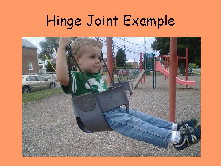 The 5 Types of Joints A Meeting Place