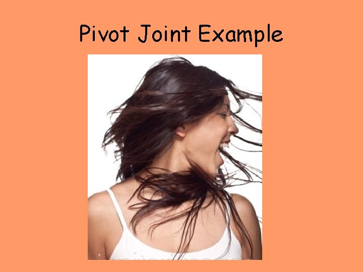 The 5 Types of Joints A Meeting Place