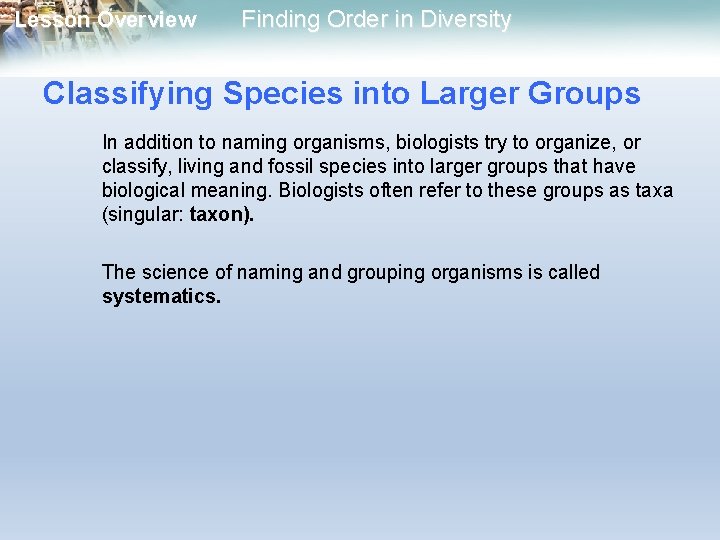 Lesson Overview Finding Order in Diversity Lesson Overview