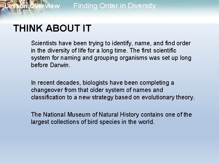 Lesson Overview Finding Order in Diversity Lesson Overview
