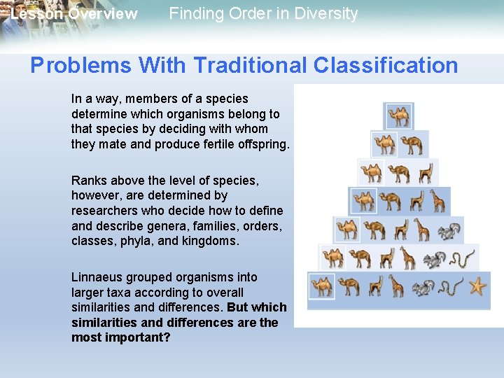 Lesson Overview Finding Order in Diversity Lesson Overview