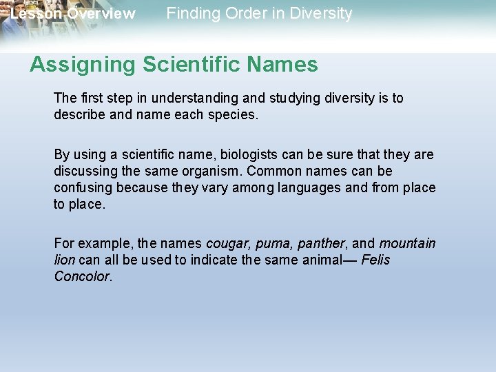 Lesson Overview Finding Order in Diversity Lesson Overview
