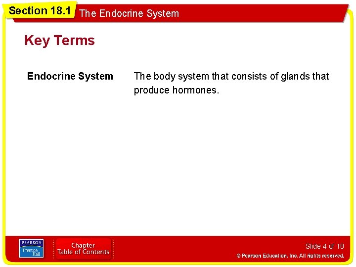 Section 18 1 The Endocrine System Health Stats