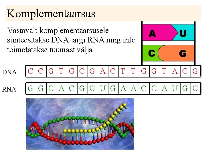 TRANSKRIPTSIOON Koostas Kristel Mekask RNA ehitus Sarnaselt DNA