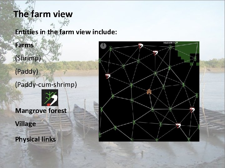 Modelling Shrimp and Paddy farming in coastal zones