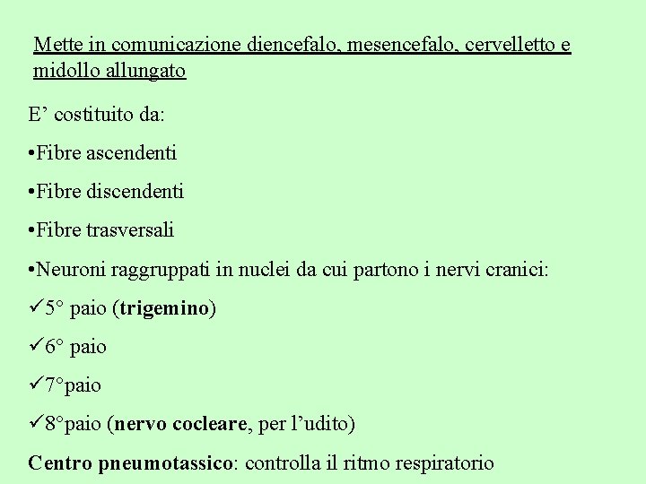 SISTEMA NERVOSO CENTRALE ENCEFALO TELENCEFALO DIENCEFALO MESENCEFALO ...