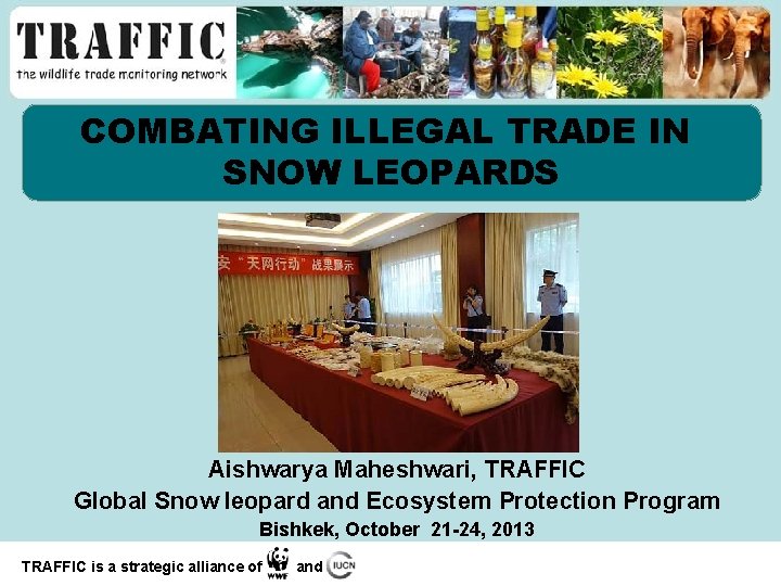COMBATING ILLEGAL TRADE IN SNOW LEOPARDS Aishwarya Maheshwari