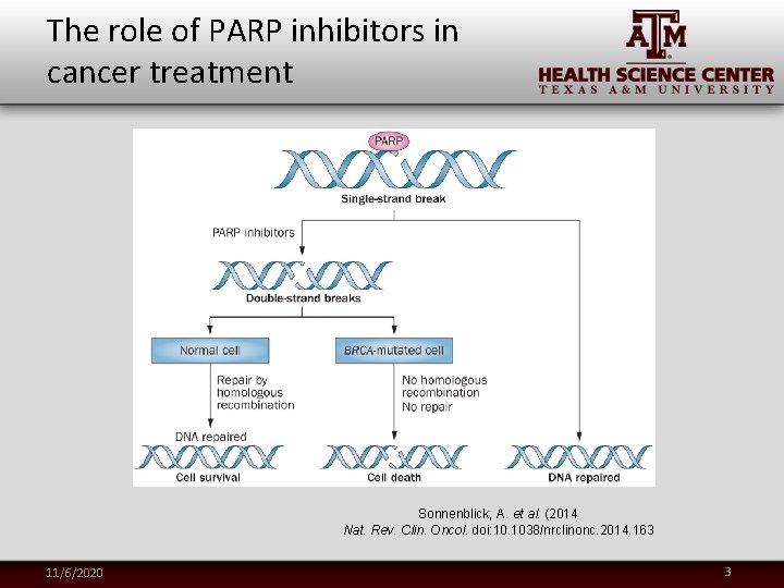 Costeffectiveness of PARP inhibitors as Maintenance Therapies in