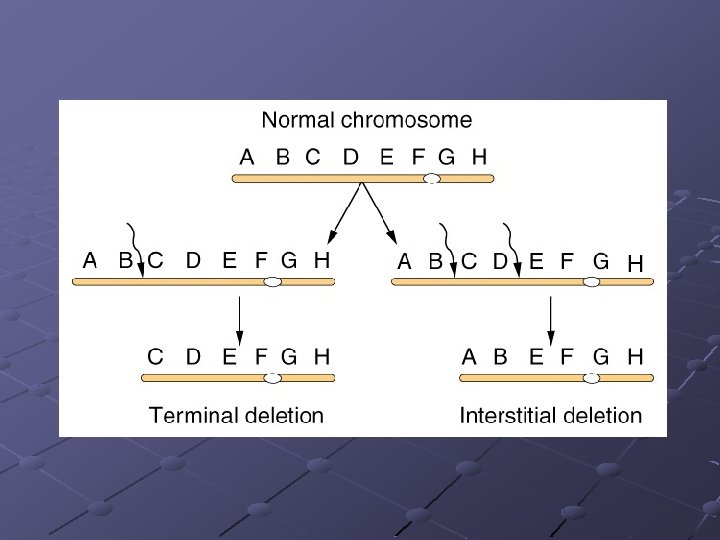 Variaciones Numricas y Estructurales del Cariotipo Conjunto de