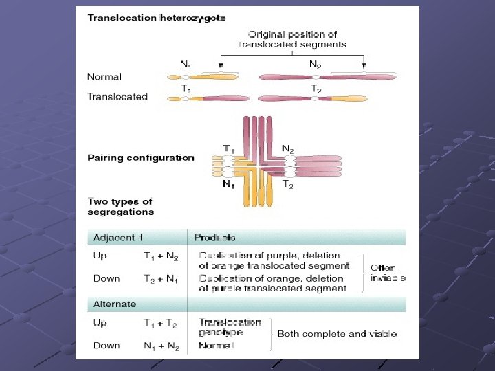 Variaciones Numricas y Estructurales del Cariotipo Conjunto de