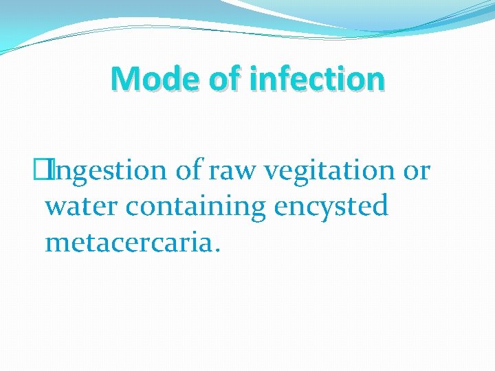FASCIOLA HEPATICA FASCIOLA hepatica Disease Fascioliasis liver rot