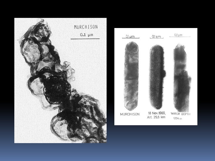 Bacterial morphologies in carbonaceous meteorites and comet dust