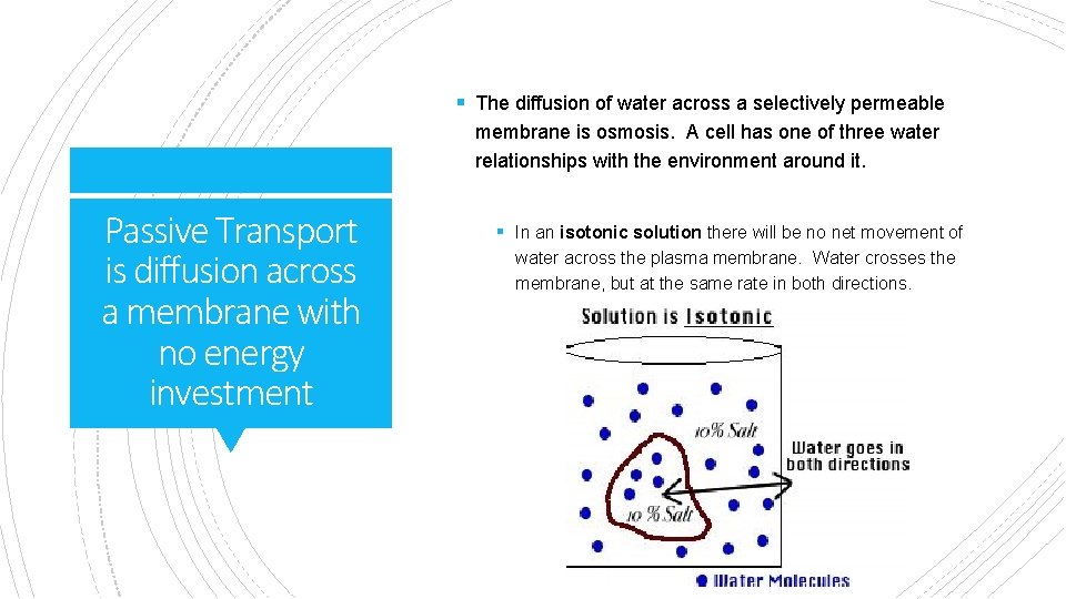 Chapter 7 Membrane Structure and Function The cell