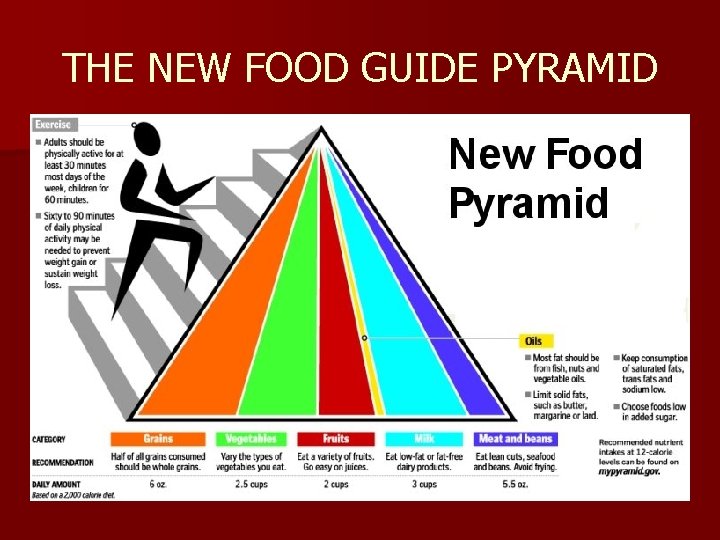 CHAPTER 7 FOR LIFE THE OLD FOOD GUIDE