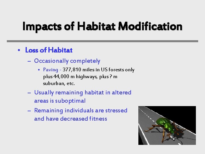 Introduction to Ecology CERC Certificate Program Columbia University